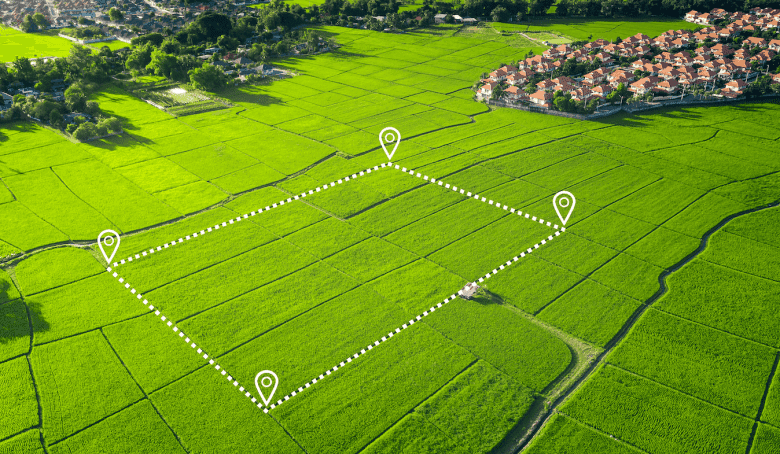 Sectors & Services | Ardent